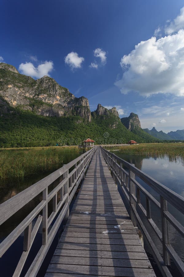 The Wooden Walk Way in a Lake Stock Photo - Image of green, blossom ...
