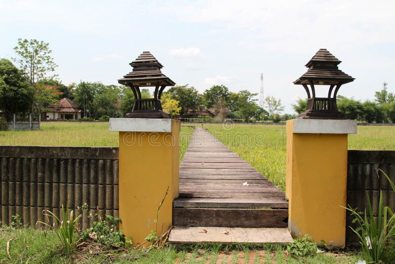 Walk Way Leading Over Rice Field Stock Image - Image of environment ...