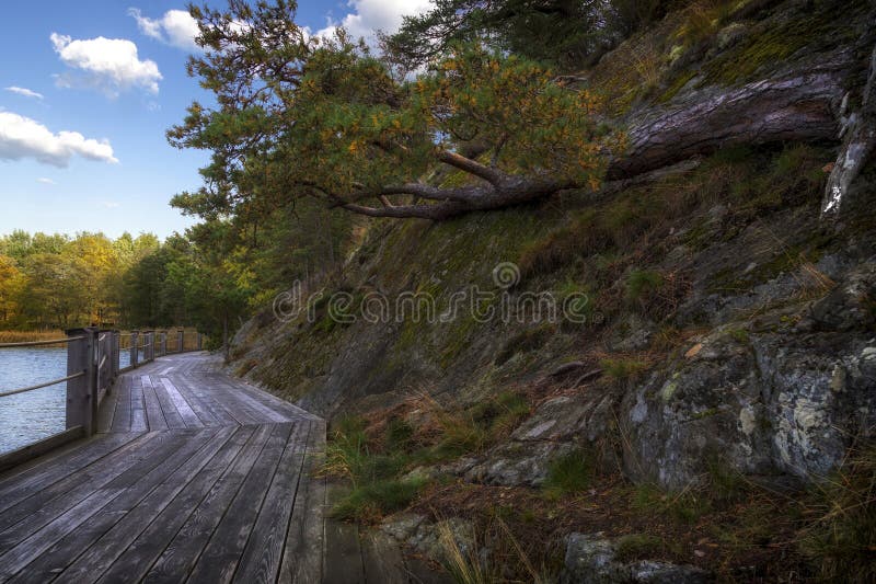 Wooden Walking Path Along the Lake on a Summer Evening Stock Image ...
