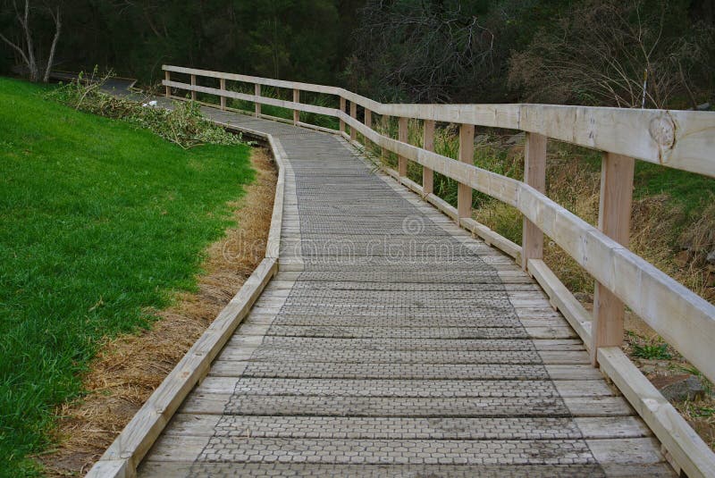 Wooden Walking Path in Forest Stock Image - Image of morning, quiet ...