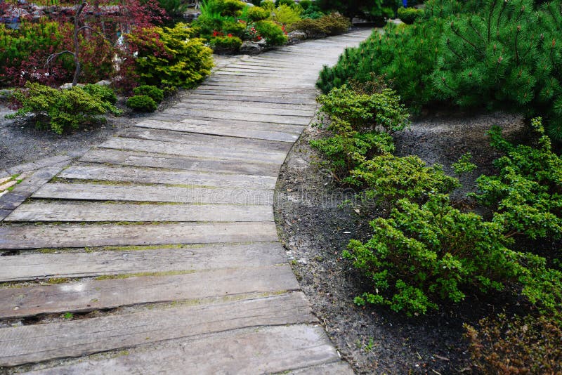 Wooden walking path stock image. Image of nature, idyllic - 85108067