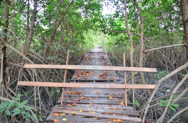 Barrier in forest stock photo. Image of entry, europe - 73828794