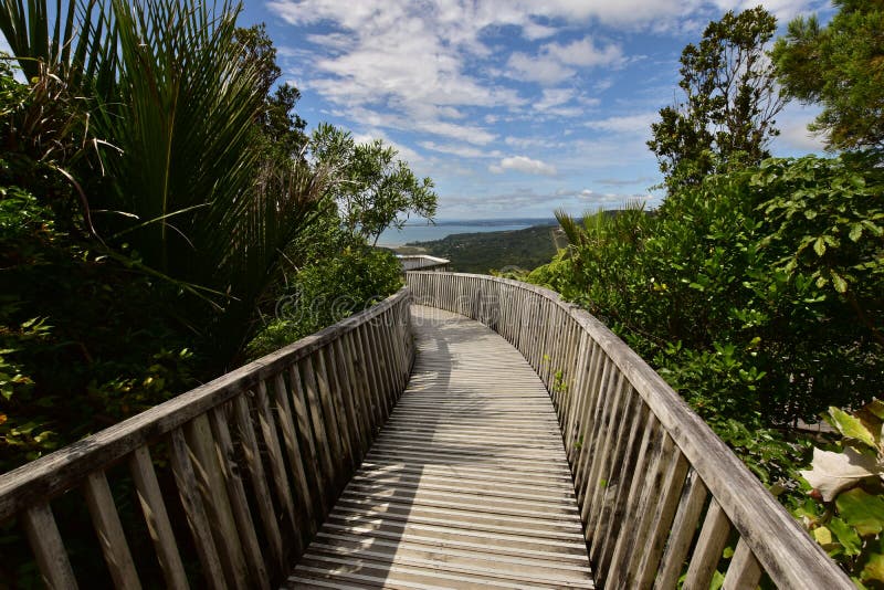 A Wooden Walkway Bridge with the View Stock Photo - Image of trees ...