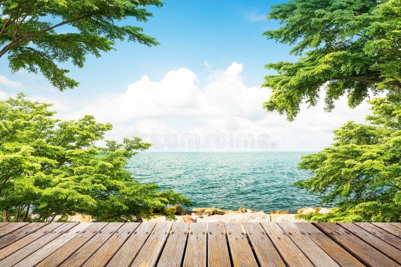 Wooden walkway at coast stock photo. Image of relax, wood - 57168744