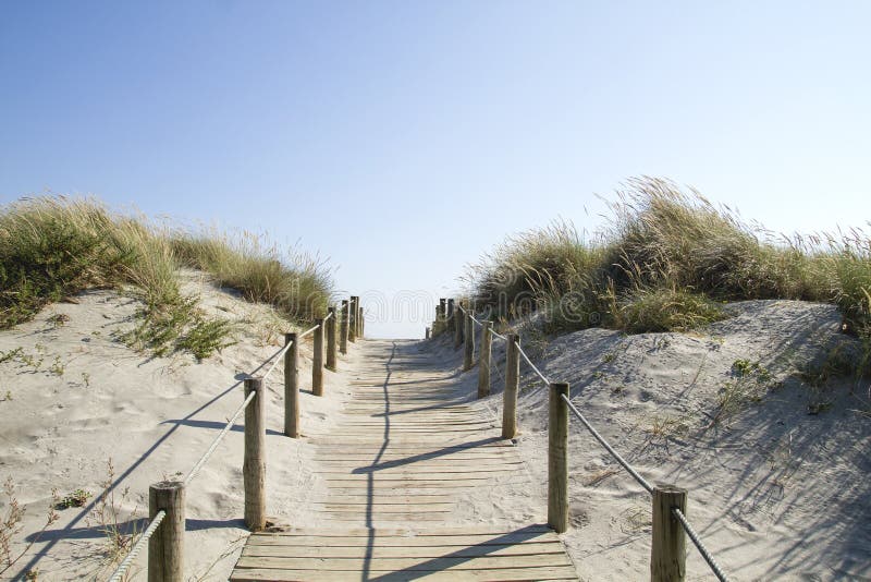 Walkway in the dunes stock image. Image of grasses, dunes - 225074307