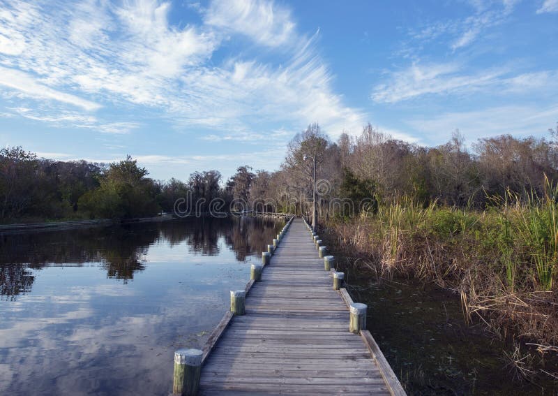 Wooden Walkway in Florida Park Along Lake Stock Photo - Image of park ...
