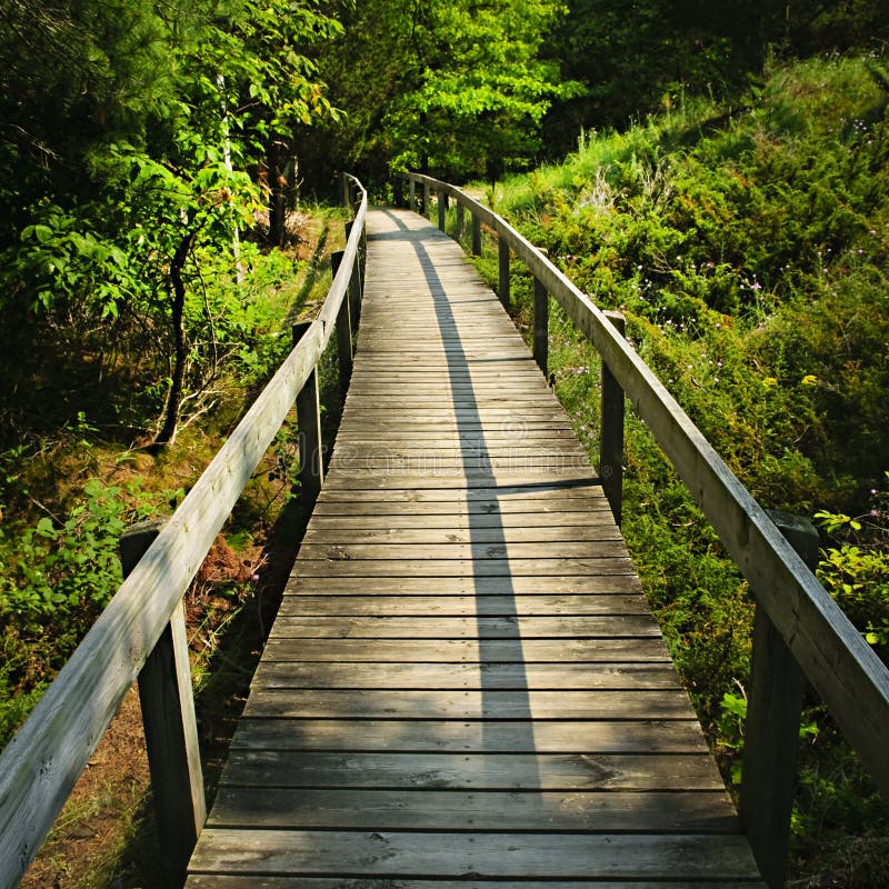 Lakeside nature walk way stock image. Image of boardwalk - 34127577