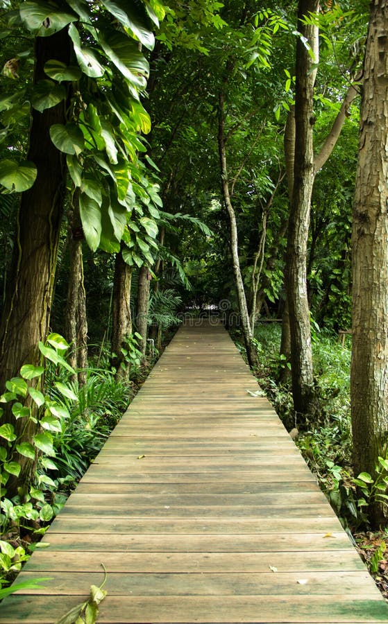 Wooden walkway in garden stock image. Image of guards - 157728809