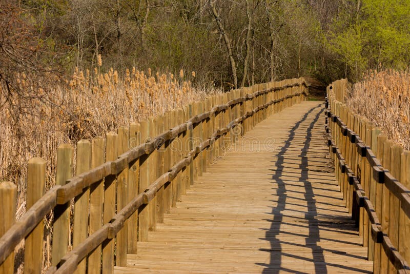 Wooden Walkway stock photo. Image of landscape, plank - 31354860