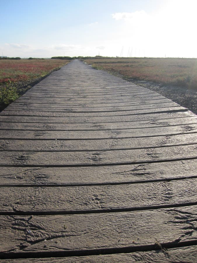 Path Across the Marsh stock image. Image of wooden, marsh - 129439733