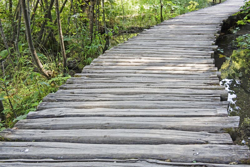 Wooden walkway stock photo. Image of journey, lane, alone - 34174734