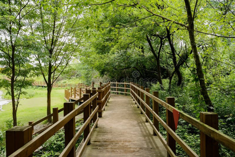 Wooden walkway in trees stock image. Image of lawn, footbridge - 190640451