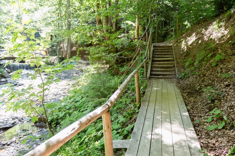 Wooden walkway stock image. Image of grass, walk, bridge - 280867867