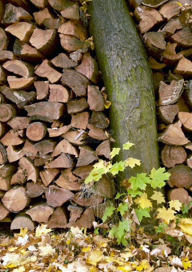 Wooden wall stock image. Image of ecology, firing, logging - 11806083