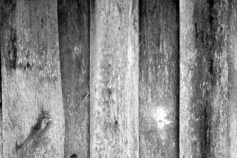 Wooden Wall Texture in Black and White Stock Image - Image of fence ...