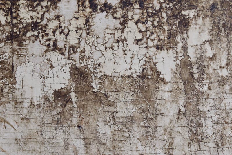 Wooden Wall with White Paint is Highly Eroded and Soiled Stock Photo ...