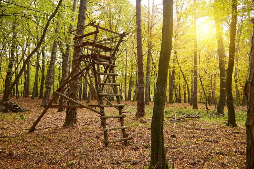 Wooden Watchtower in Fall Woods Stock Photo - Image of tower, trees ...