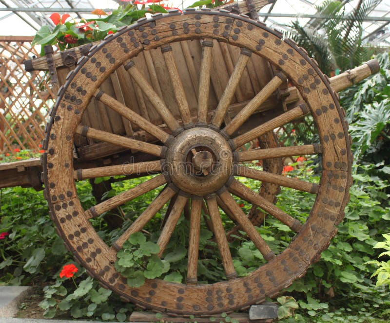 Wood texture stock photo. Image of stain, pattern, close - 22096070