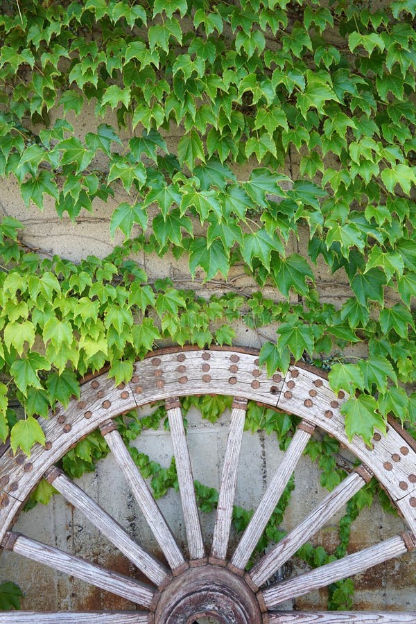 Wooden Wheel on Old Brick Wall Stock Image - Image of cart, decoration ...