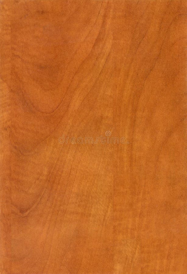 Close-up Wooden Rustical Oak Texture Stock Image - Image of covering ...