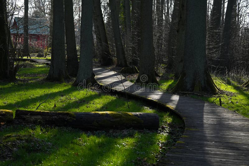 Wooden Winding Path in Spring Garden Stock Image - Image of landscape ...