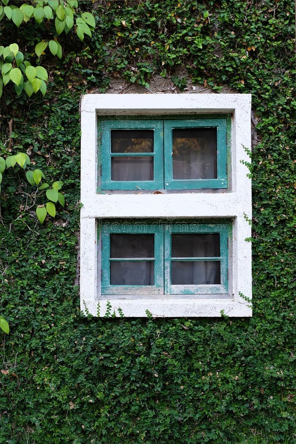 Wooden Window on the Green Wall Stock Image - Image of background ...