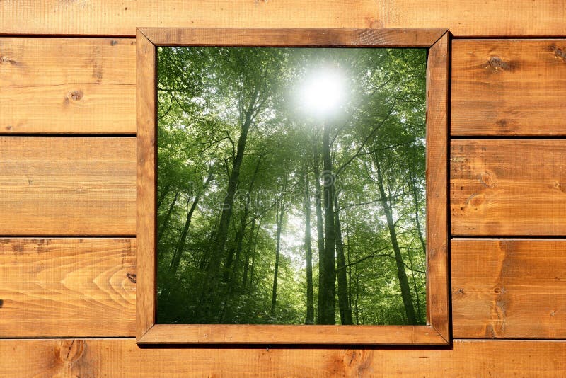 Wooden Window Jungle Green Forest View Stock Photo - Image of interior ...