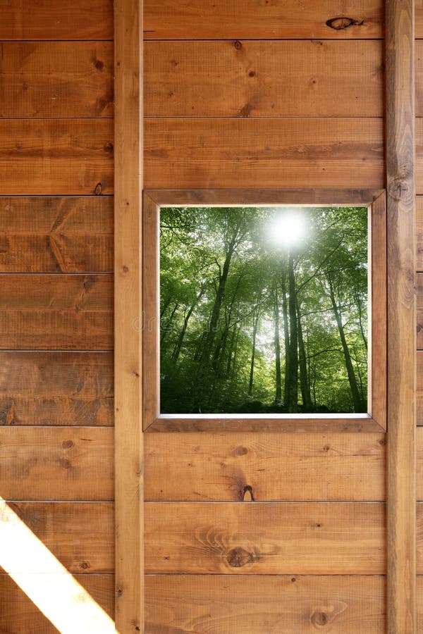 Wooden Window Jungle Green Forest View Stock Photo - Image of forest ...