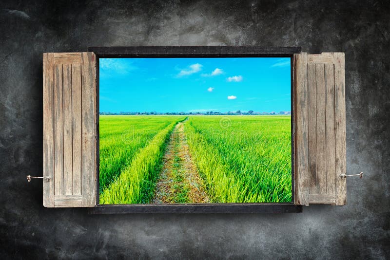 Wooden Windows Frame on Stone Wall and View of Green Field Stock Photo ...
