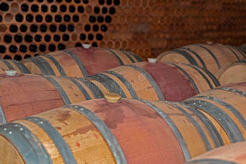 Wooden wine vats close up stock photo. Image of beverage - 311631982