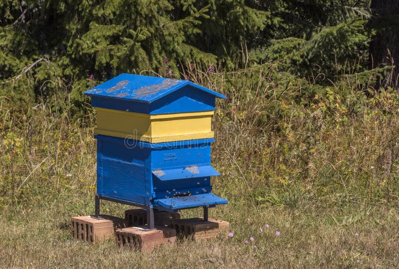 Blue Bee Hive in the Field at Thassos Stock Image - Image of ...