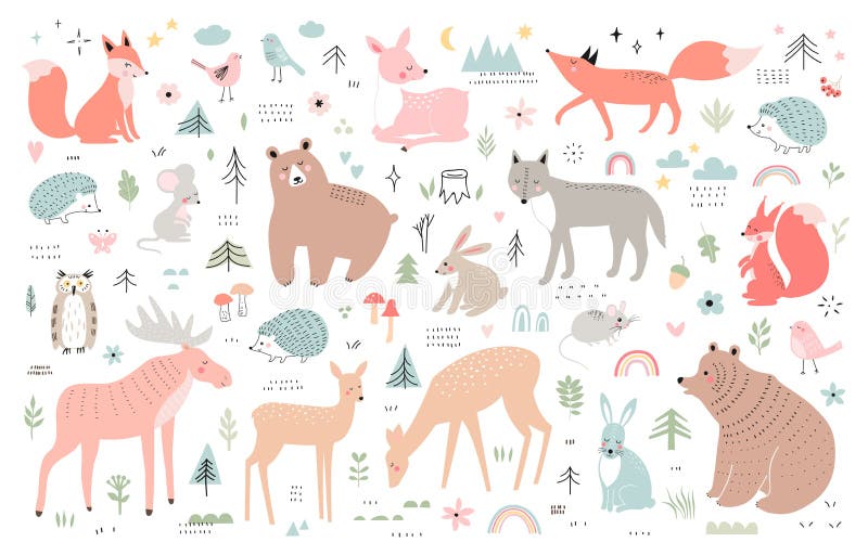 Woodland Animals. Vector Collection of Forest Elements Stock Vector ...