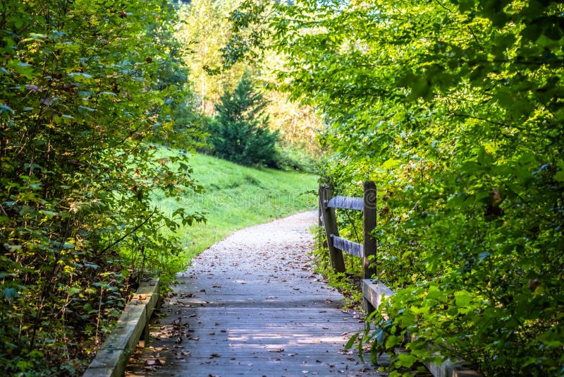 Path into the Light stock photo. Image of outdoors, adventure - 162290606