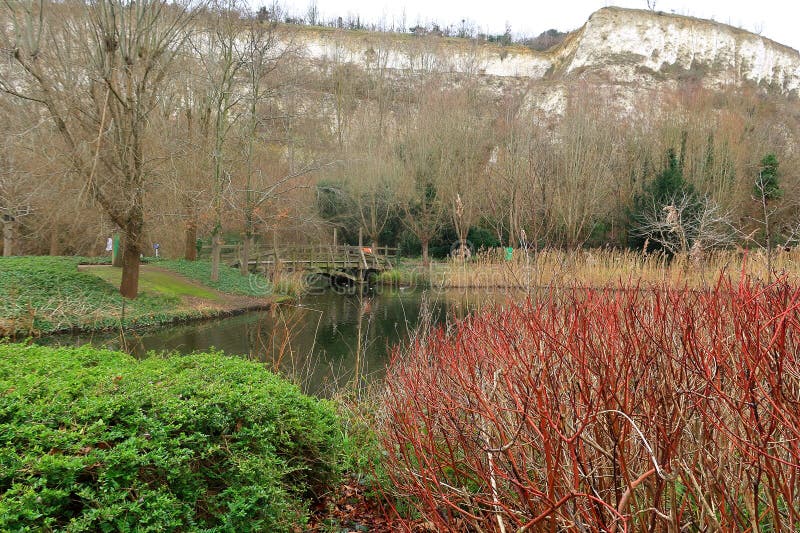 A Woodland Landscape at Bluewater Lake Stock Photo - Image of ...