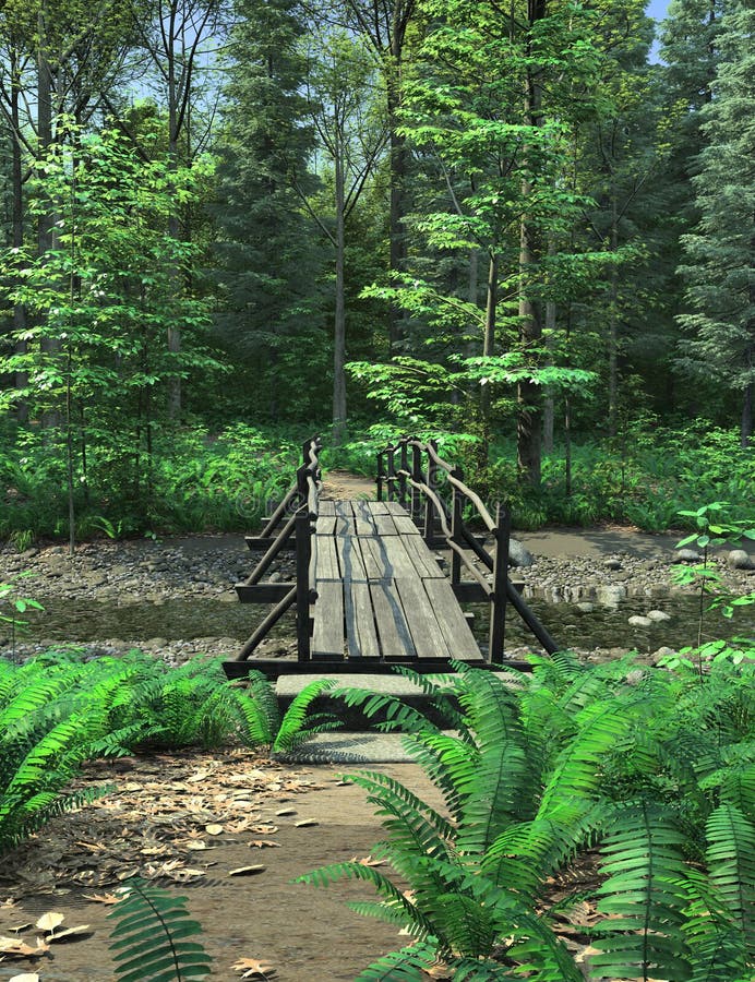 Woodland Path and Bridge stock illustration. Illustration of pebbles ...