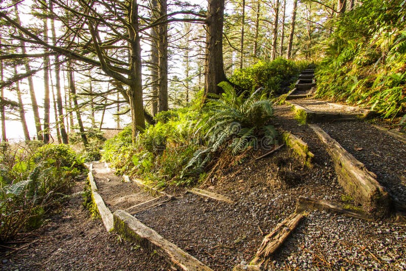 Fork in the road stock image. Image of meander, nature - 5961423