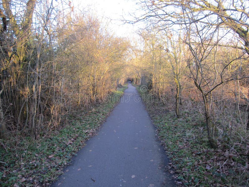 Woodland path stock photo. Image of woodland, path, trees - 107534312