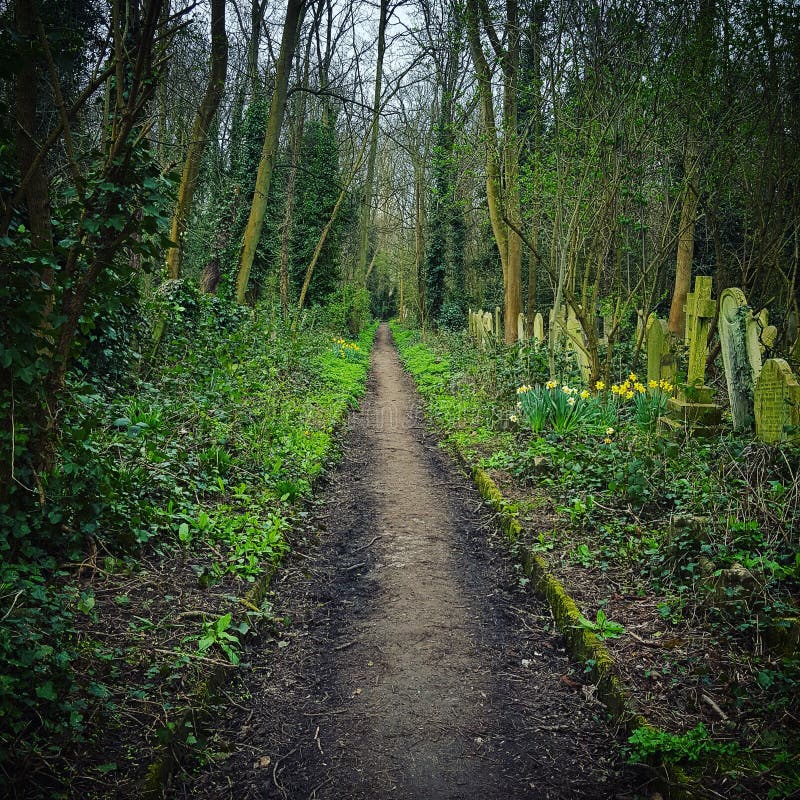 4,660 Overgrown Pathway Stock Photos - Free & Royalty-Free Stock Photos ...