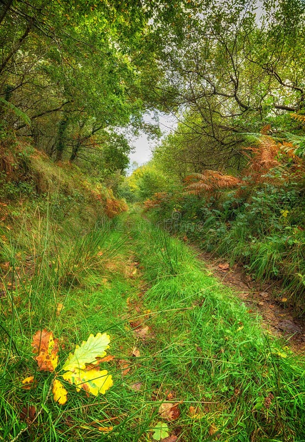 Cabilla Stock Photos - Free & Royalty-Free Stock Photos from Dreamstime