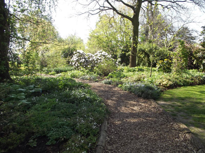 Woodland Path stock photo. Image of woodland, woodlands - 90251364