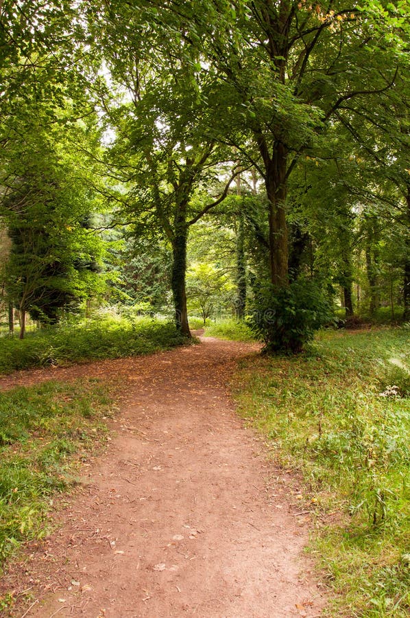 Woodland pathways stock photo. Image of outdoors, woods - 71187058