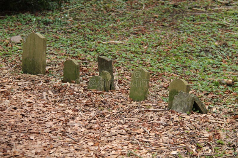 Woodland Pet Cemetery. stock image. Image of flower - 328672523