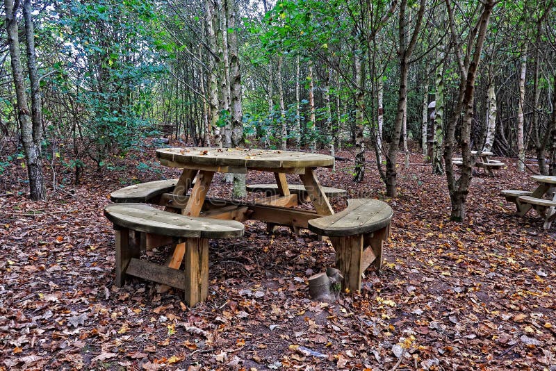 A Woodland Scene Featuring a Table and Chairs Stock Photo - Image of ...