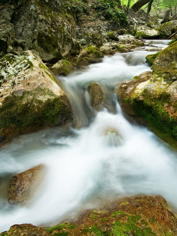 Woodland stream stock image. Image of green, ireland - 15139555