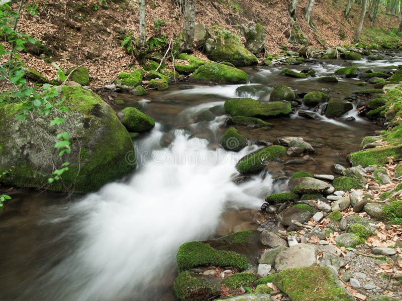 Woodland Stream. stock photo. Image of rocks, pool, river - 21448016