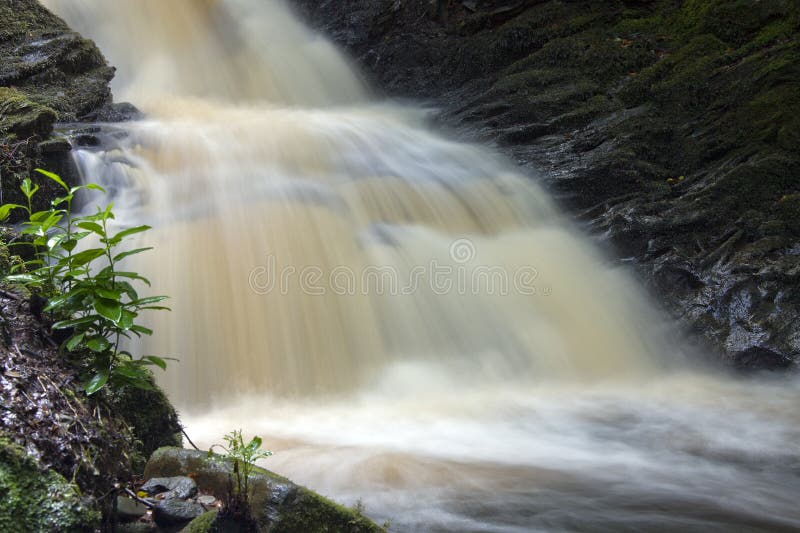 Woodland Stream - Flowing Water Stock Image - Image of water, glen ...