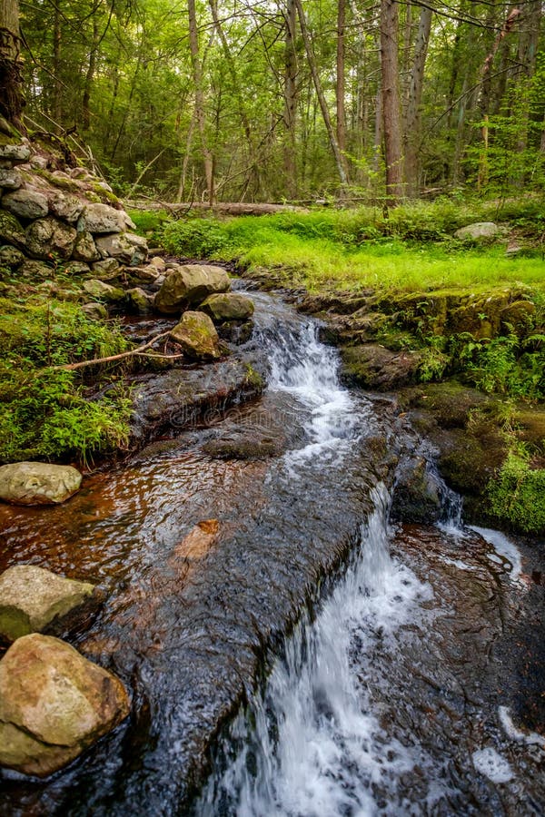 Woodland Waterfall stock image. Image of outdoors, travel - 130668663