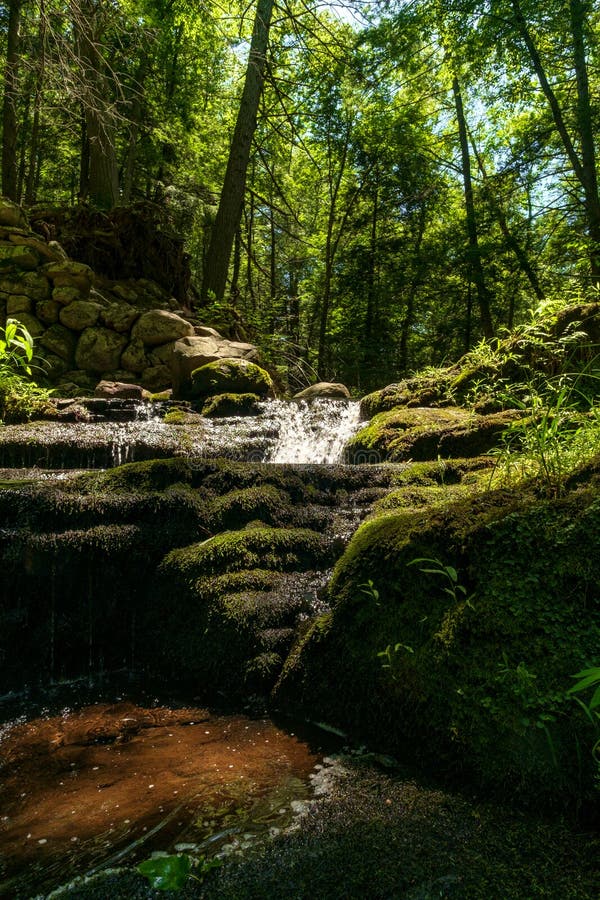 Woodland Waterfall stock image. Image of summer, park - 192614829