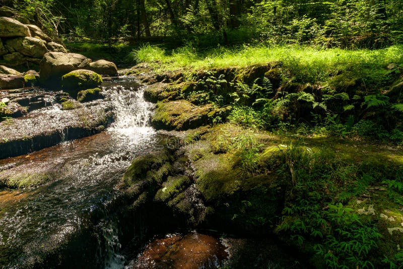 Woodland Waterfall stock image. Image of woods, moody - 192614861
