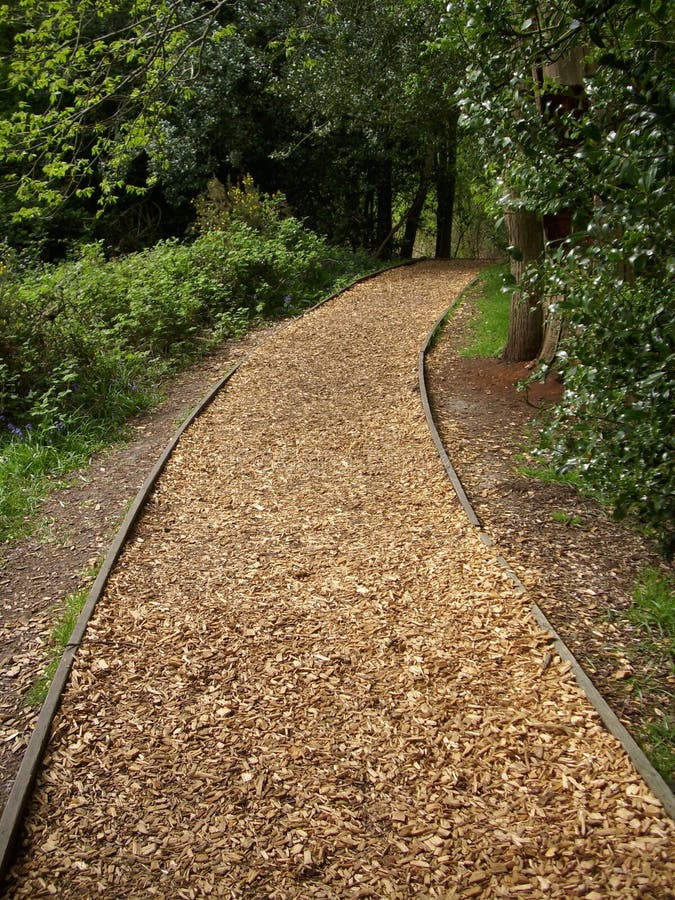 Woodland woodchip path stock image. Image of shrubs, access - 59973613
